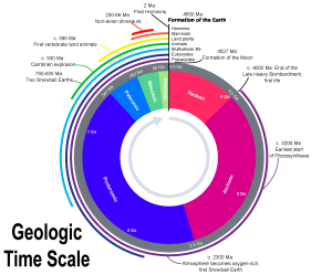 Geologic Time Scale Printable